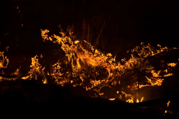 Japanese fire bali Stock Photos, Royalty Free Japanese fire bali Images ...