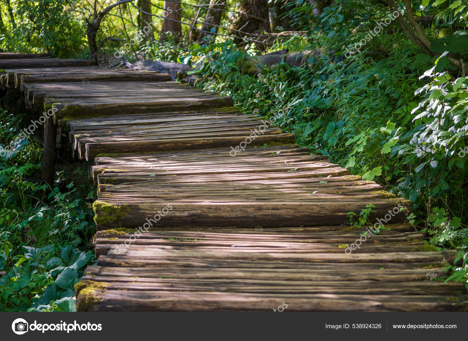Wooden Path Handrails Plitvice Lakes Mountain Forest National Park ...