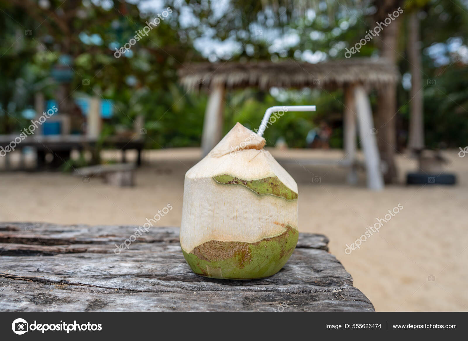 Coco Verde Com Palha Coco Verde Green Coconut