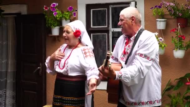 161 Old craft national tradition Videos, Royalty-free Stock Old craft ...