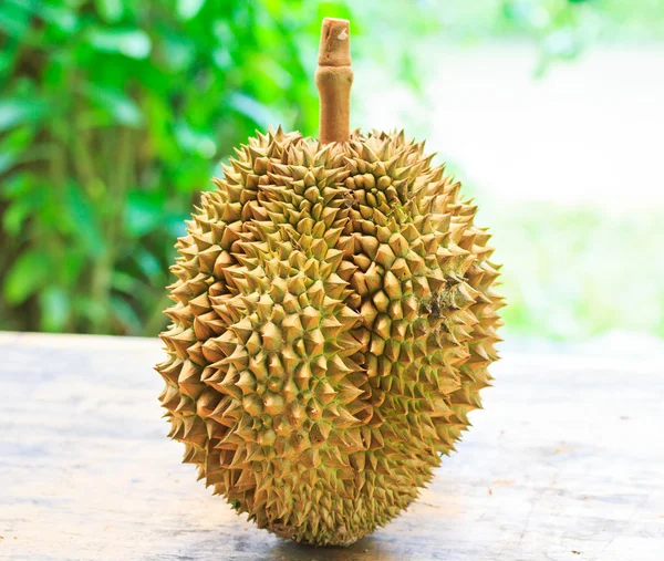 ᐈ Durian pictures fruit stock images, Royalty Free durian photos ...