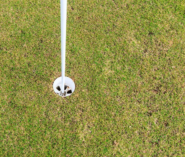 Skeleton golf Stock Photos, Royalty Free Skeleton golf Images ...