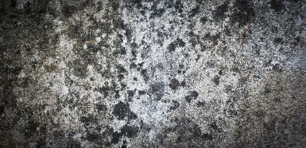 Fungi texture - Stock Image - Everypixel