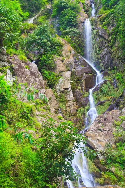 Batumi waterfall Stock Photos, Royalty Free Batumi waterfall Images ...