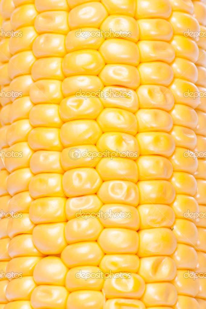 Corn background, macro closeup. texture — Stock Photo © Garry_Images ...