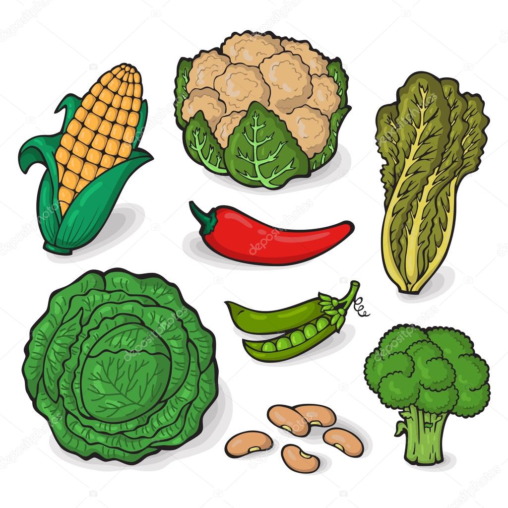 Um grande conjunto de legumes frescos. colorido dos desenhos animados ...