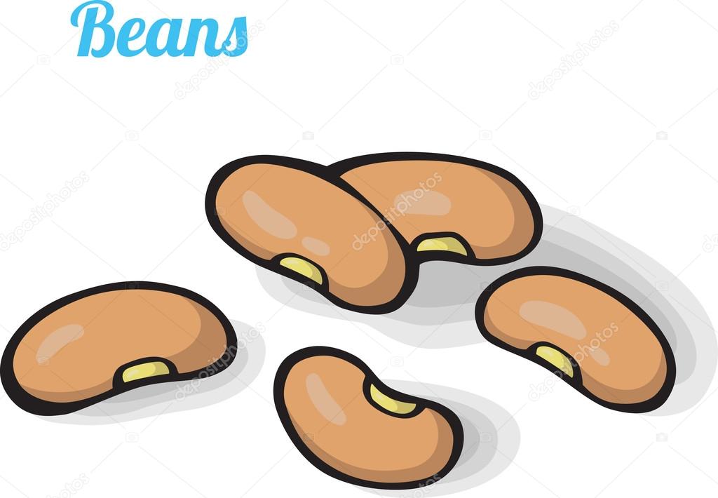 Frijoles, verduras frescas . Vector de Stock de ©KateVogel 33243197