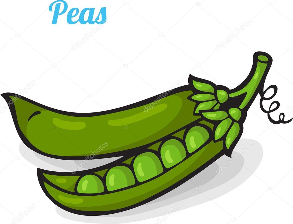 guisantes, arveja, hortalizas frescas — Vector de stock © KateVogel ...