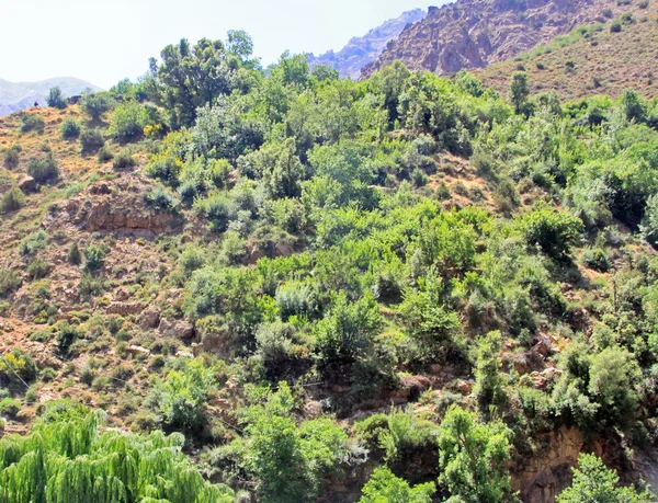 Nature du maroc Stock Photos, Royalty Free Nature du maroc Images ...