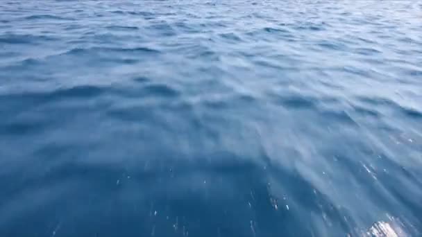 Fast floating above ocean surface — Stock Video © Creativemarc #12631846