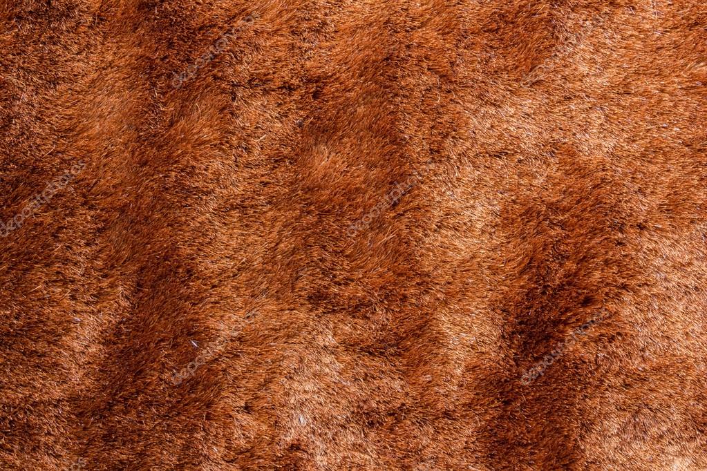 Brown fur texture — Stock Photo © studio306stock #33634939