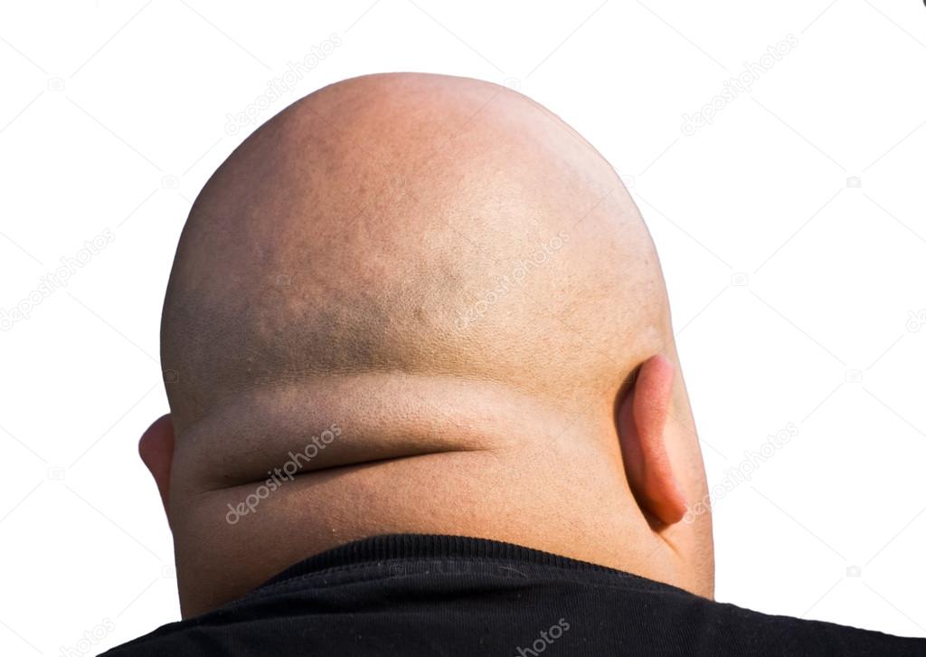 Bald head isolated — Stock Photo © mishoo #14048267