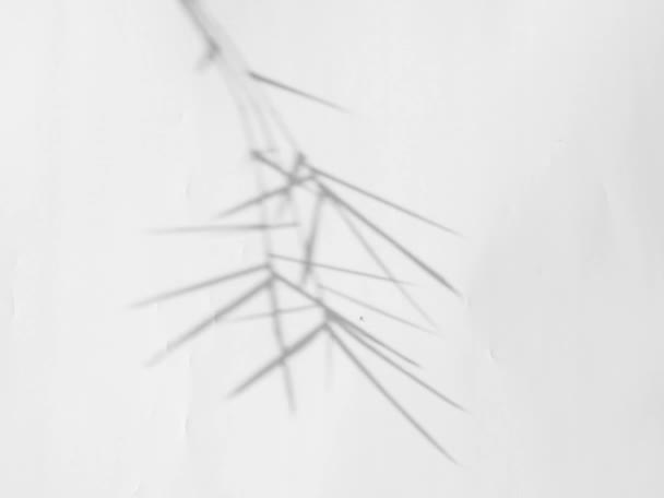 Bamboo Leaf Animation Swaying Wind Realistic Overlay Effect Nature ...