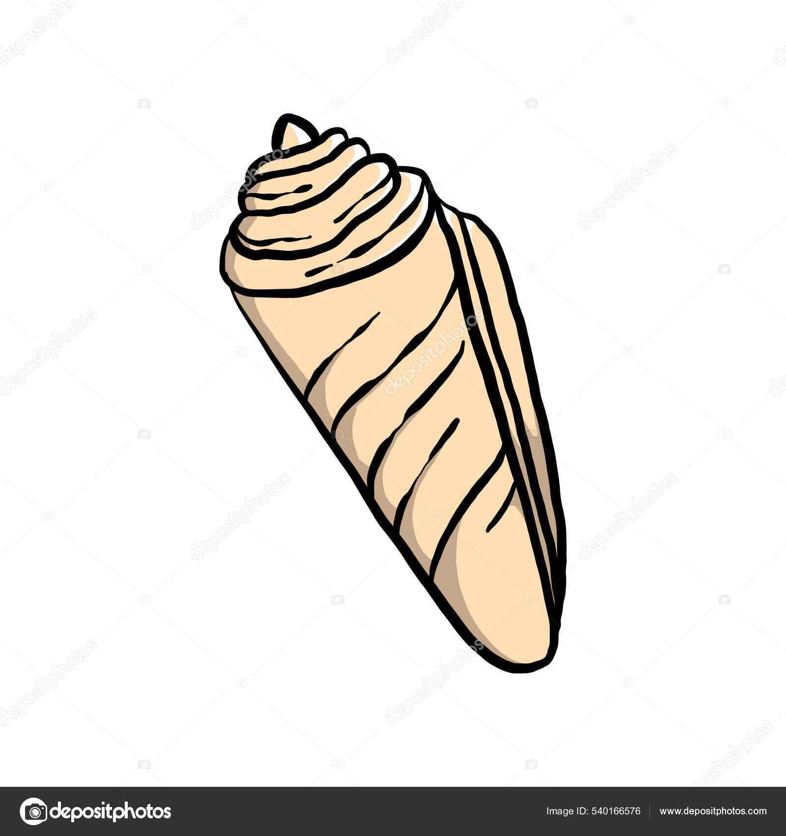 Colorful Seashell Illustration Animated Nautical Animal Vector Graphic ...