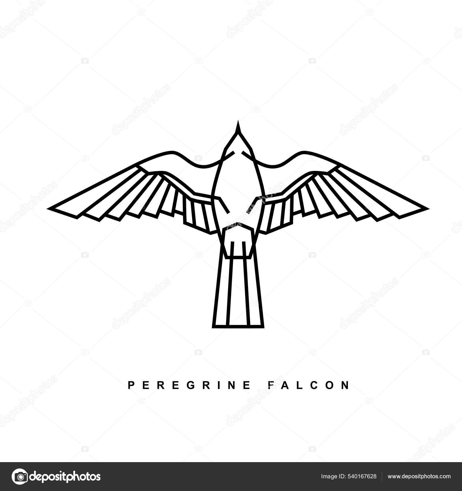 Peregrine Falcon Vector Vintage Idaho Peregrine Falcon Illustration