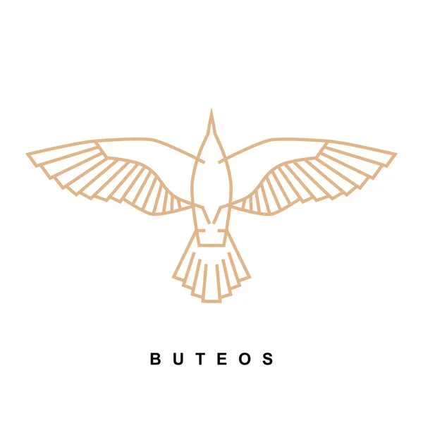 Buteo buteo Vector Art Stock Images | Depositphotos