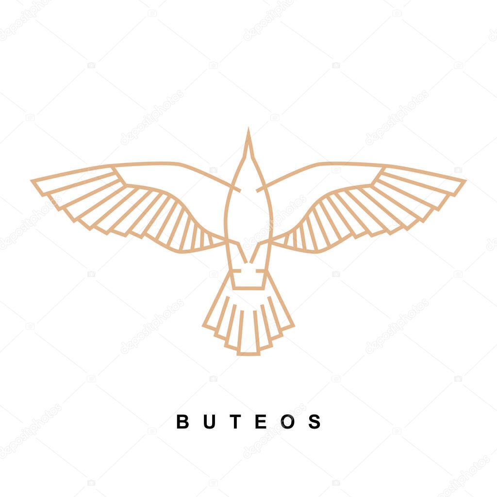 buteo bird icon logo. ancient Egypt illustration of falcon hawk collection. symbol of the power ...