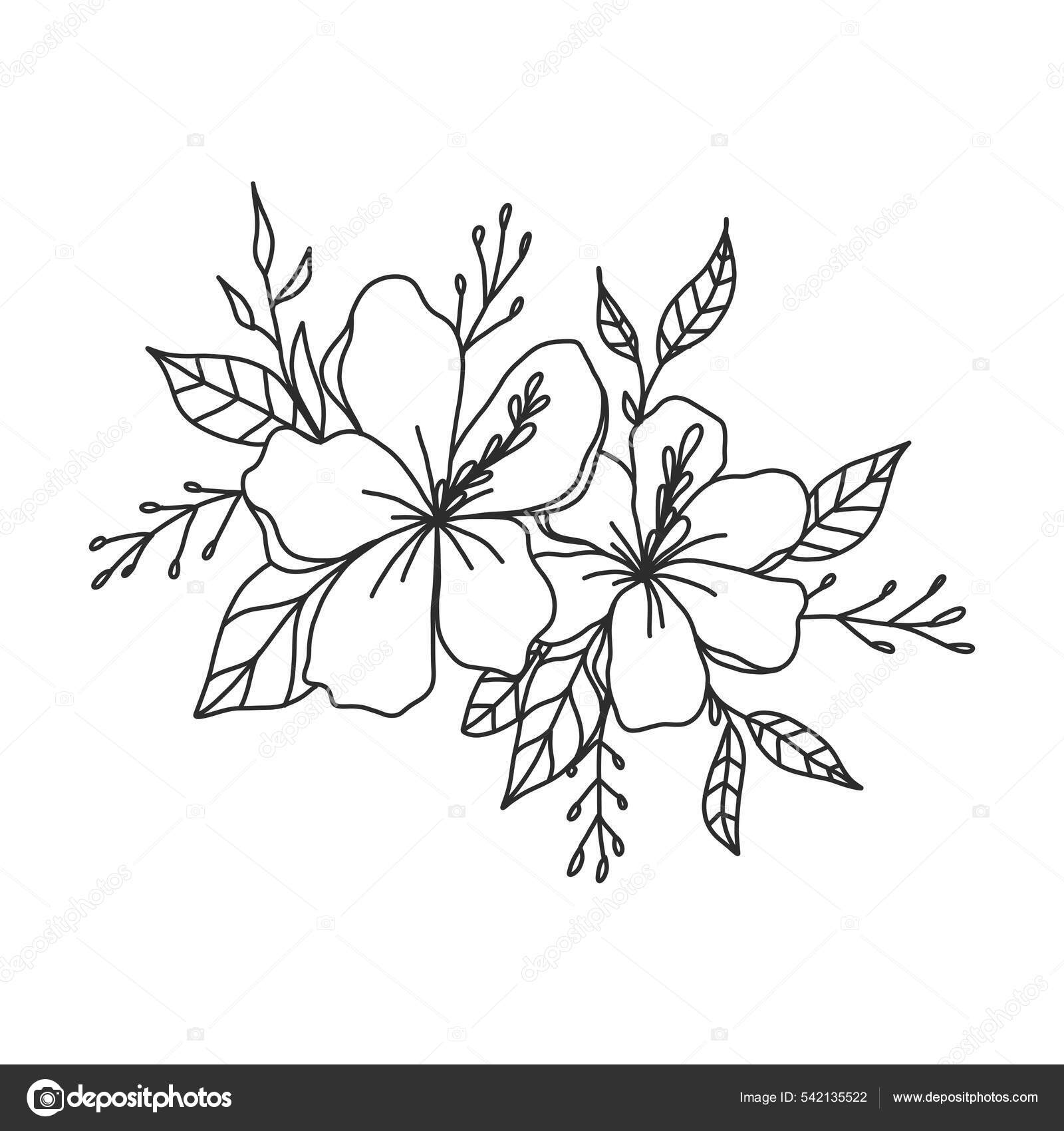 Beautiful Illustration Flowers Arrangement Foliage Outline Style Vector ...