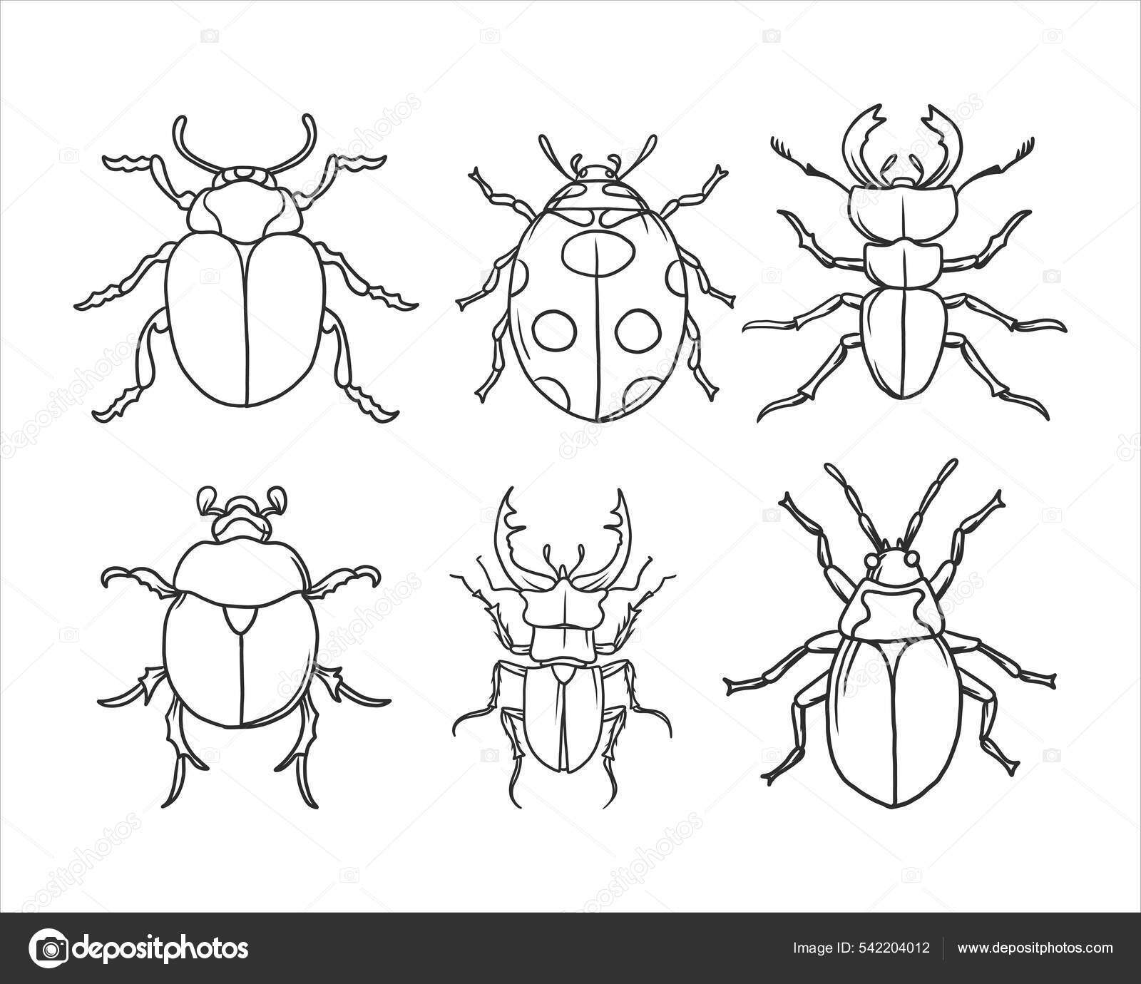 Sæt Bille Håndtegnet Skitse Vektor Forskellige Biller Illustrationer ...