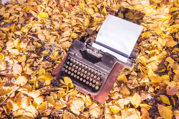 Escrever outdoor Stock Photos, Royalty Free Escrever outdoor Images ...