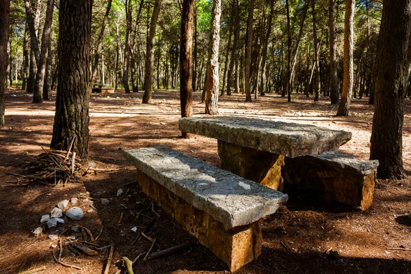 Picnic Area - Stock Image - Everypixel