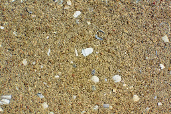 바다 파편 Stock Photos, Royalty Free 바다 파편 Images | Depositphotos