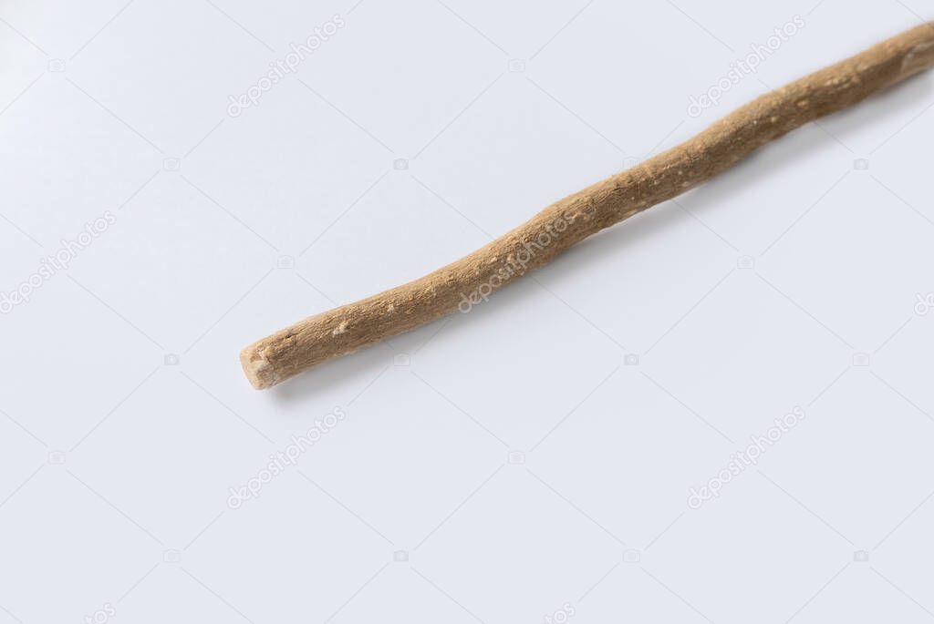 The miswak, miswaak, siwak, sewak, Arabic is a teeth cleaning twig made ...