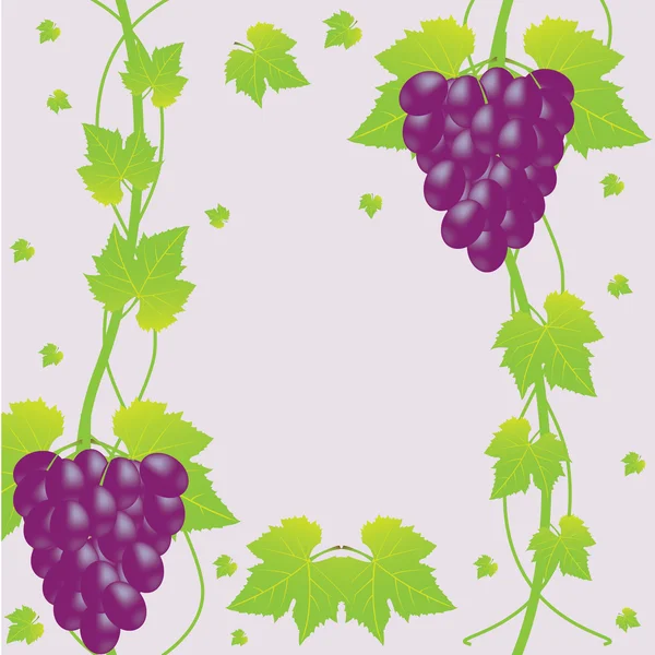 Grape vector background ecology Stock Vector Image by ©k3studija #17487643