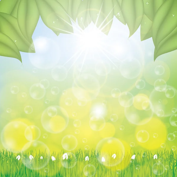 Abstract spring summer background Stock Vector Image by ©evryka23 #12058486