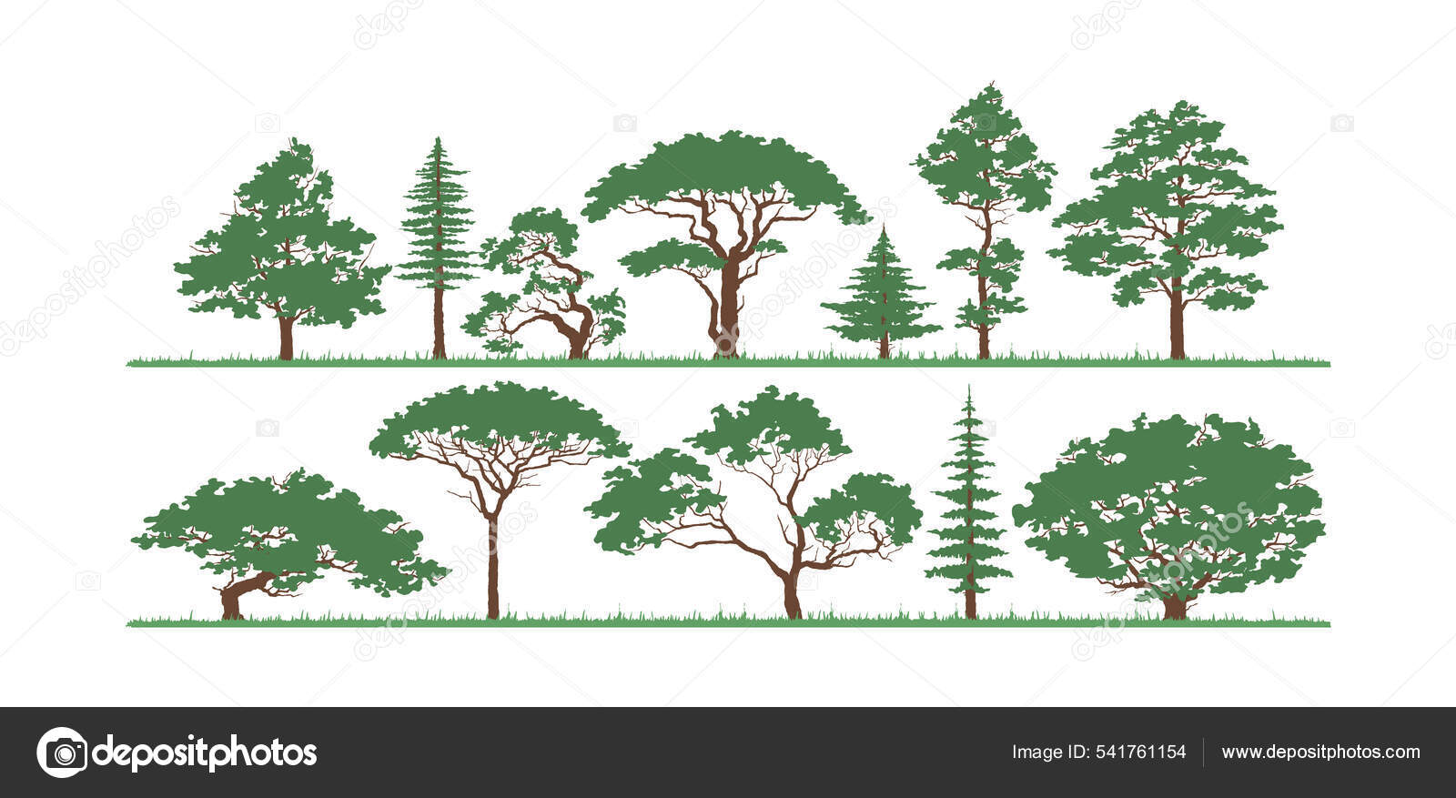Stylized Forest Background Nature Landscape Evergreen Coniferous Trees ...
