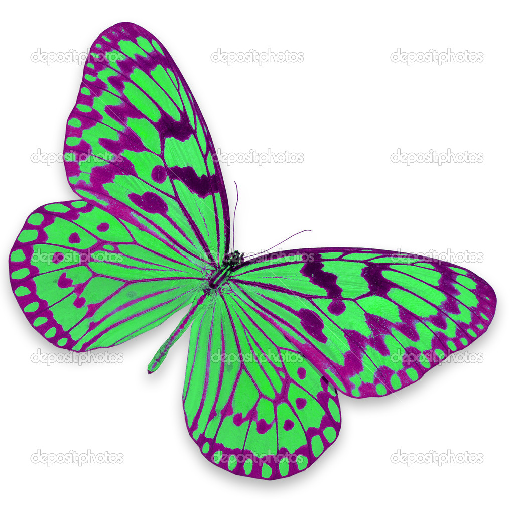 Green And Pink Butterfly Clipart