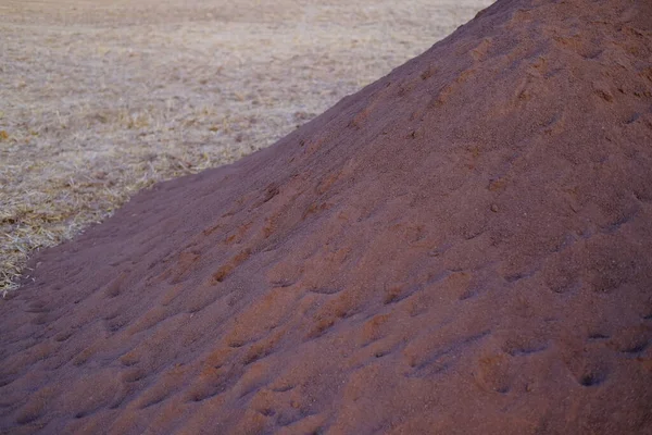 Red sand Stock Photos, Royalty Free Red sand Images | Depositphotos