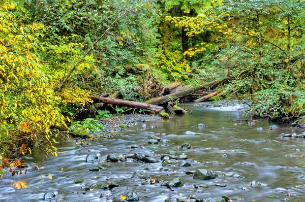 Lean river Stock Photos, Royalty Free Lean river Images | Depositphotos