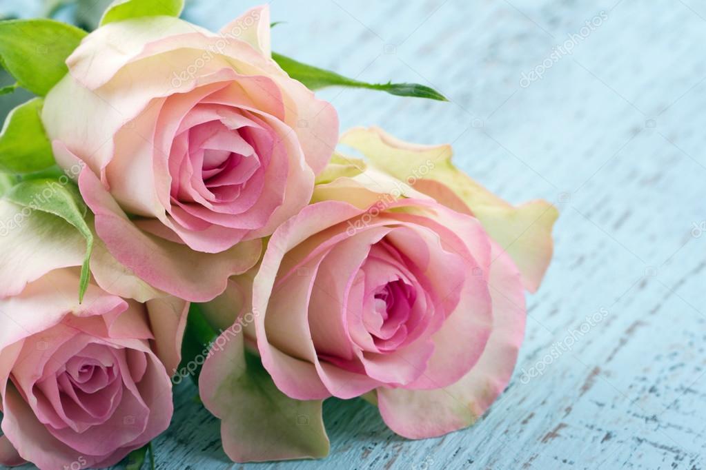 Pink roses on light blue wooden background Stock Photo by ©anskuw 23241018