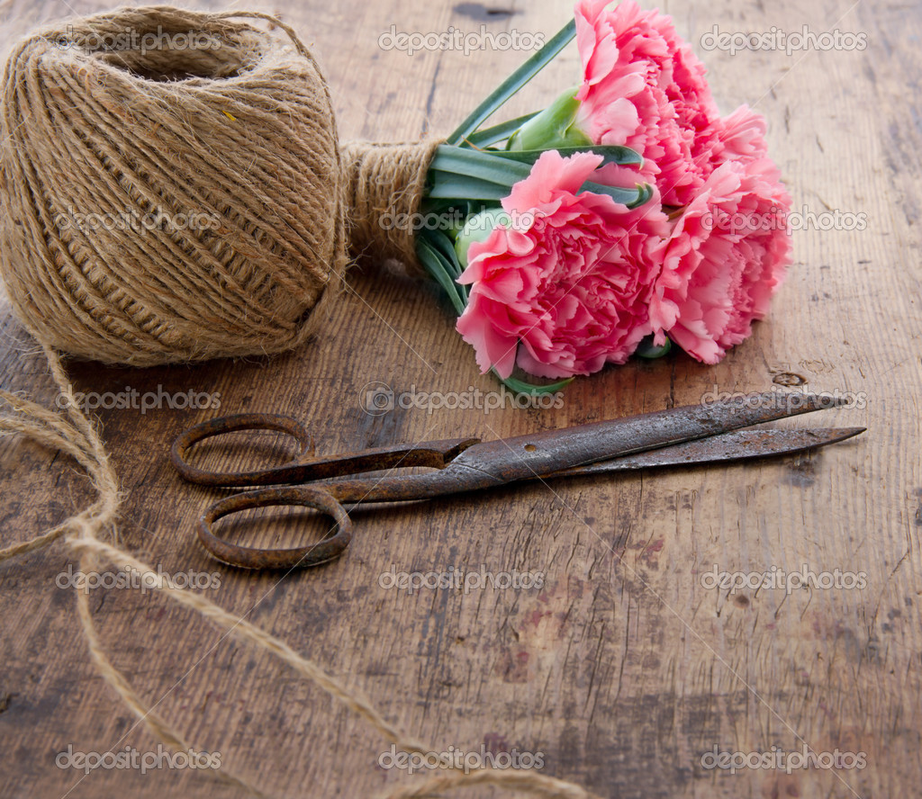 Claveles con viejas tijeras antiguas 2024