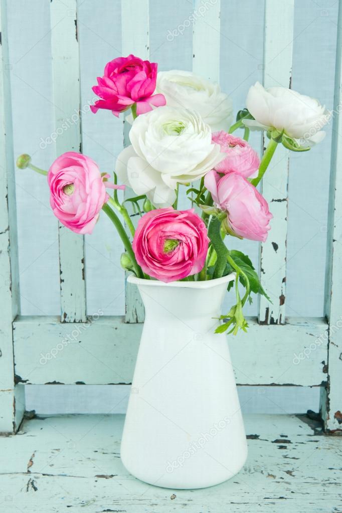 White and pink ranunculus flowers Stock Photo by ©anskuw 32154415