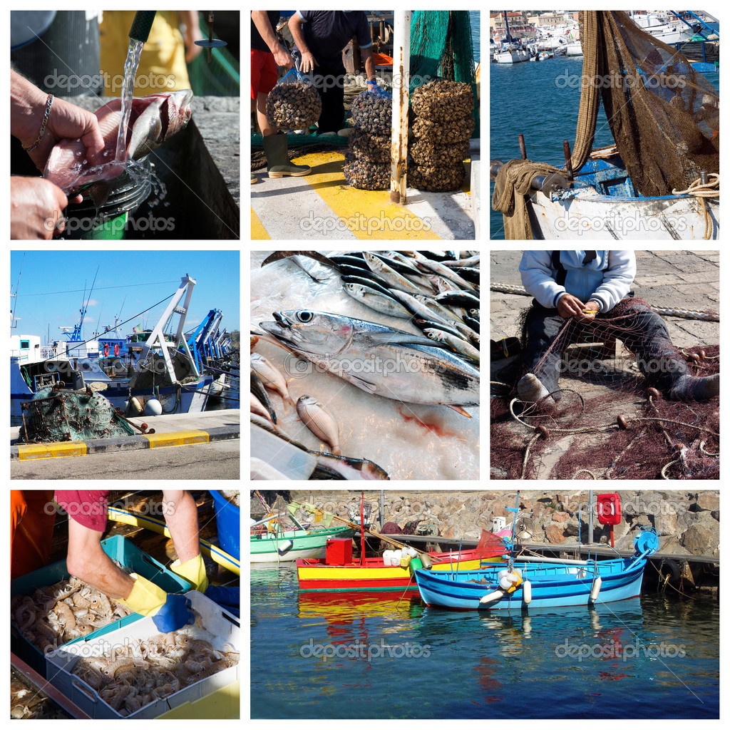 Fish and fishing collage — Stock Photo © atm2003 #12708027