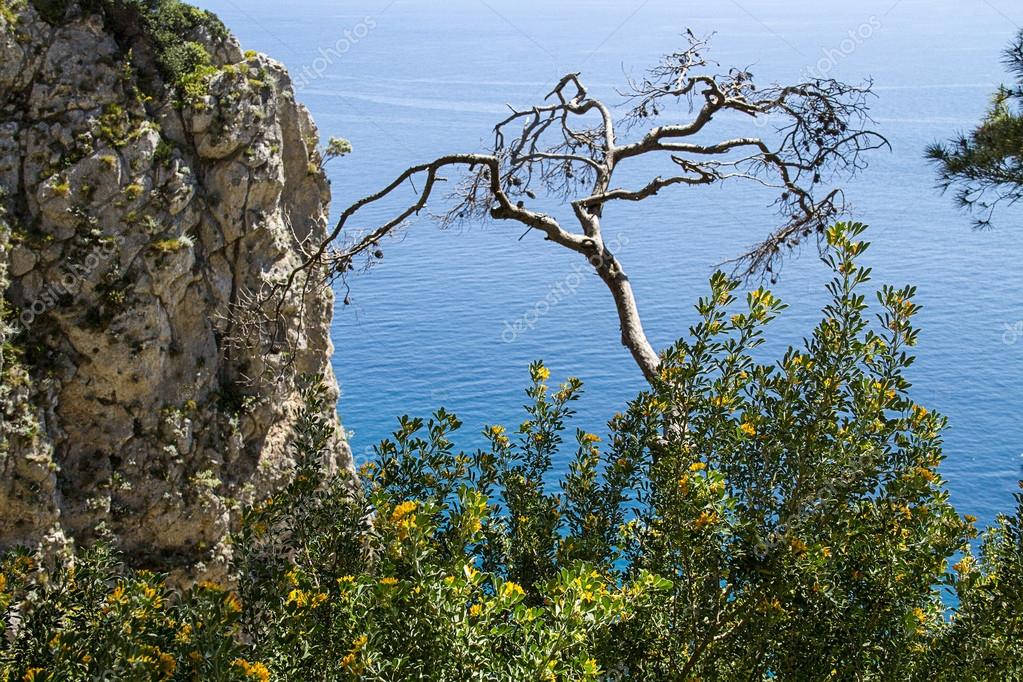 Beautiful sea in Capri - Italy — Stock Photo © atm2003 #40003595