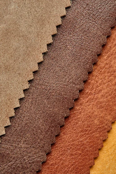 Sample leather Images - Search Images on Everypixel