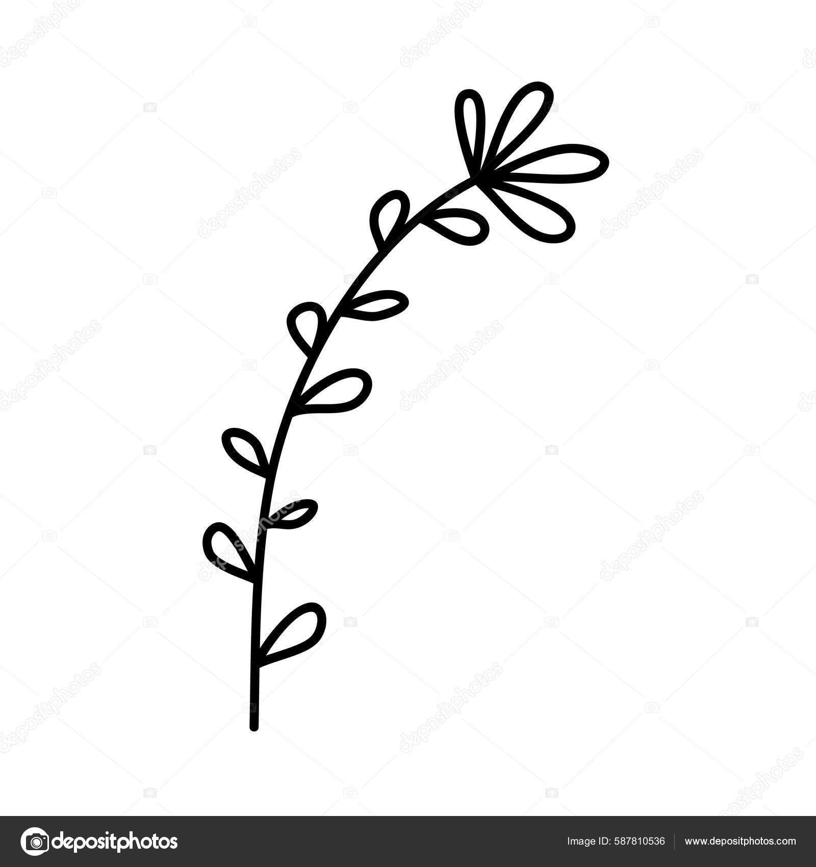 Flower Vector Simple Botanical Illustration Line Artwork Minimal Design ...