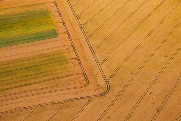 Campo de pintura Stock Photos, Royalty Free Campo de pintura Images ...