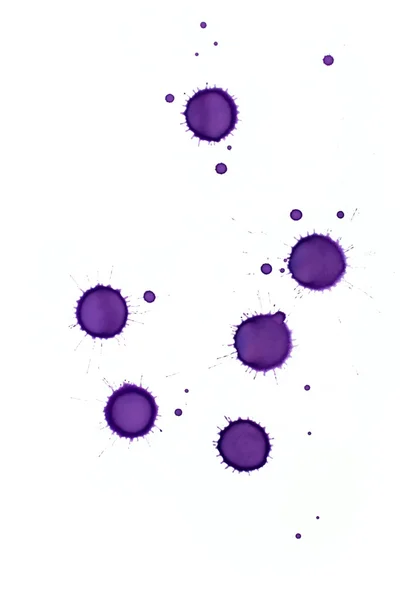 Paint splashed Stock Photos, Royalty Free Paint splashed Images ...