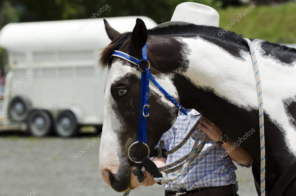Rodeo — Stock Photo © lucidwaters #16276739