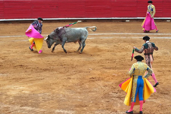Bull-fight in Plaza de Toros Bull Ring Mexico City – Stock Editorial ...