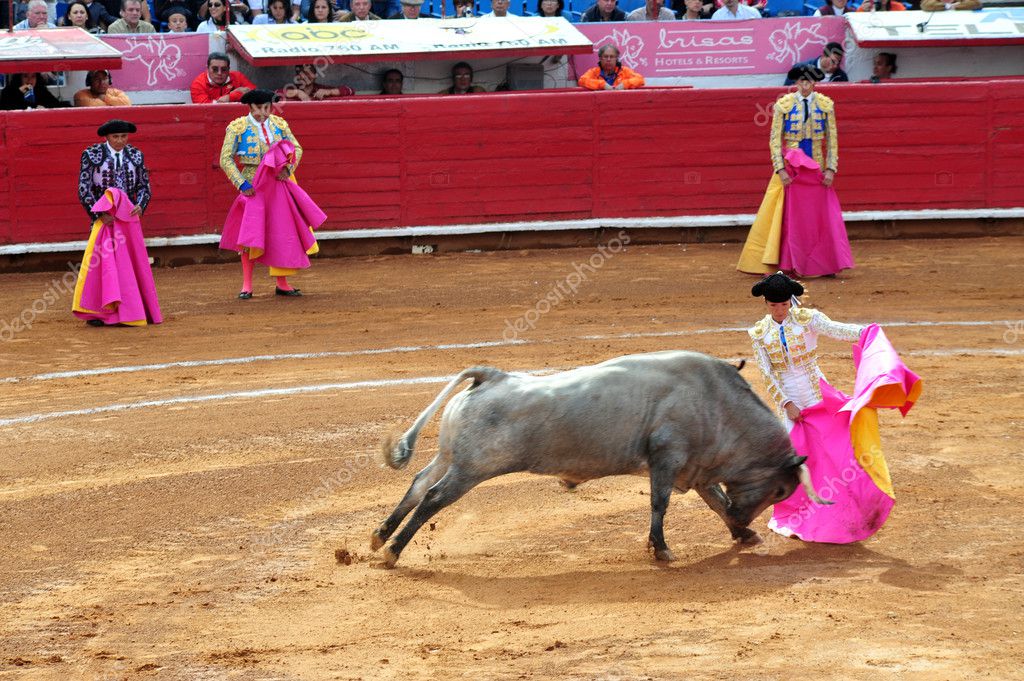 Bull-fight in Plaza de Toros Bull Ring Mexico City – Stock Editorial ...