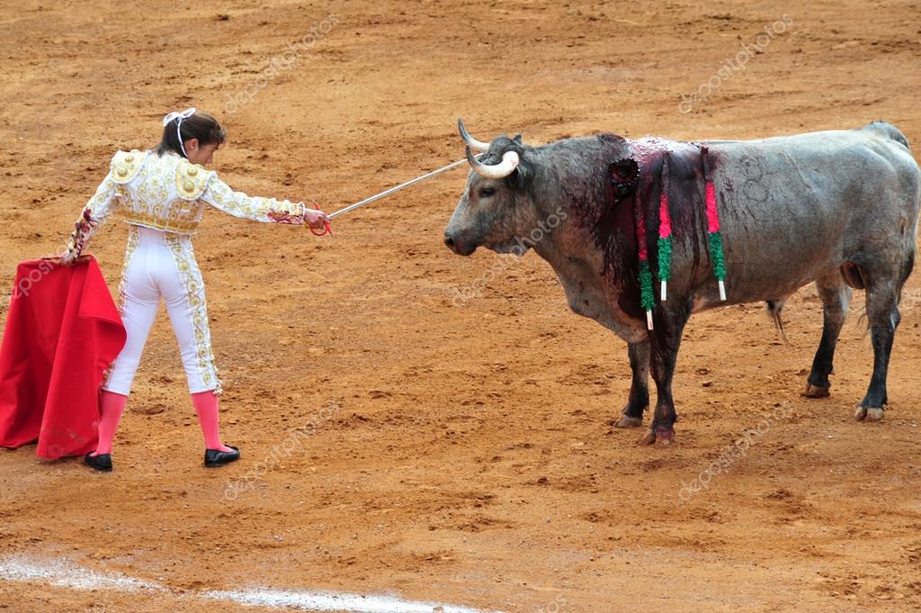 Mexican Bullfighting Tradition