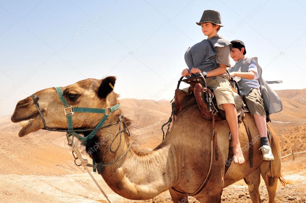 Camel Ride and Desert Activities in the Judean Desert Israel – Stock ...