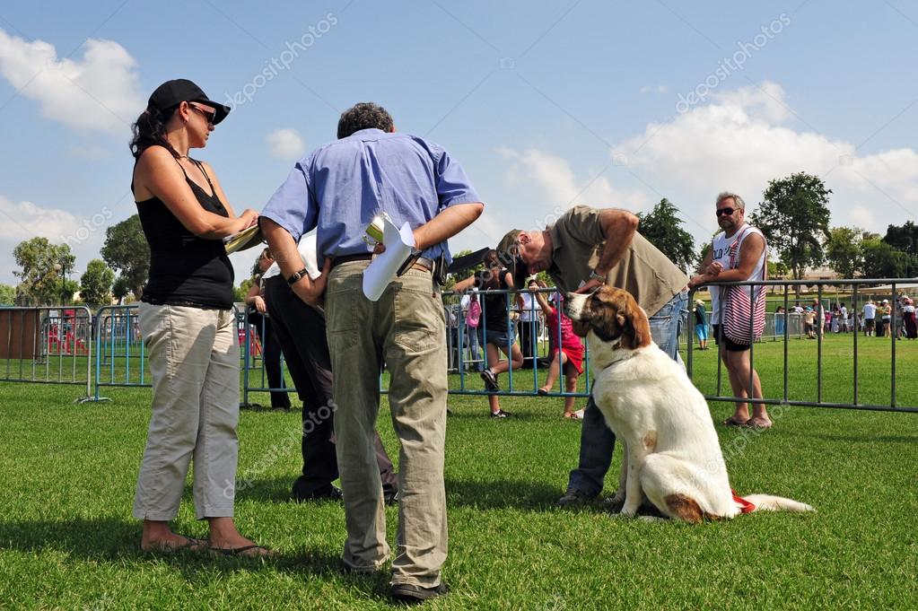 Dog Competition and Taming Challenge – Stock Editorial Photo ...