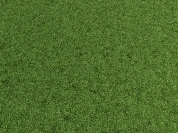 Pickle grass Stock Photos, Royalty Free Pickle grass Images | Depositphotos