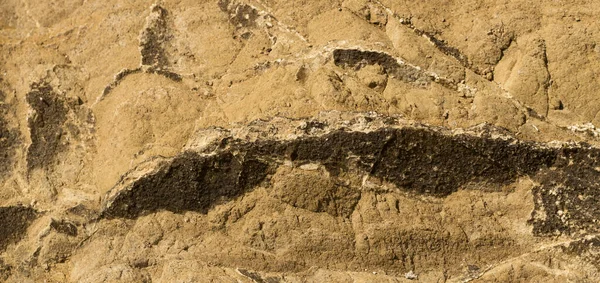 Plato. Superficie de piedra de color. Pared de la casa. Geolog a y rocas metam rficas. 2024